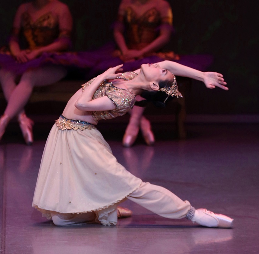 Welcome to Ballet in India! | Ballet is a very good way for the ...